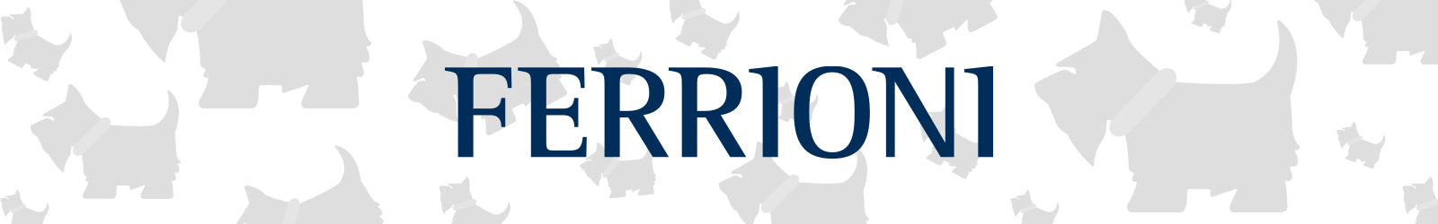 Contacto con Ferrioni